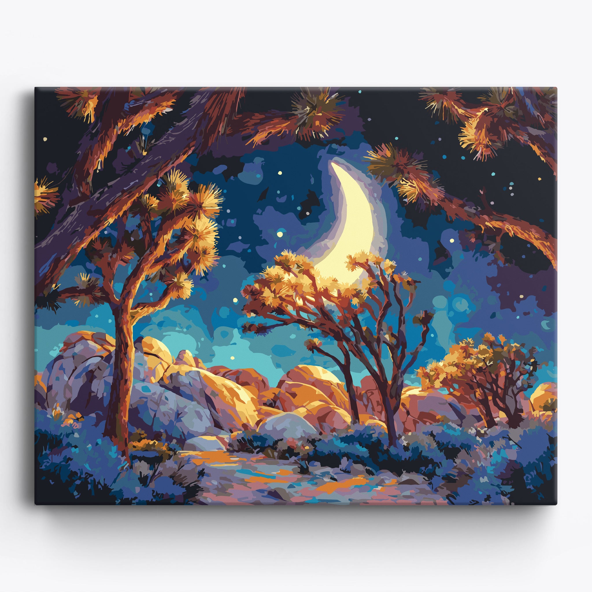 Celestial Desert Night | Paint by Numbers Kit by Craftoria