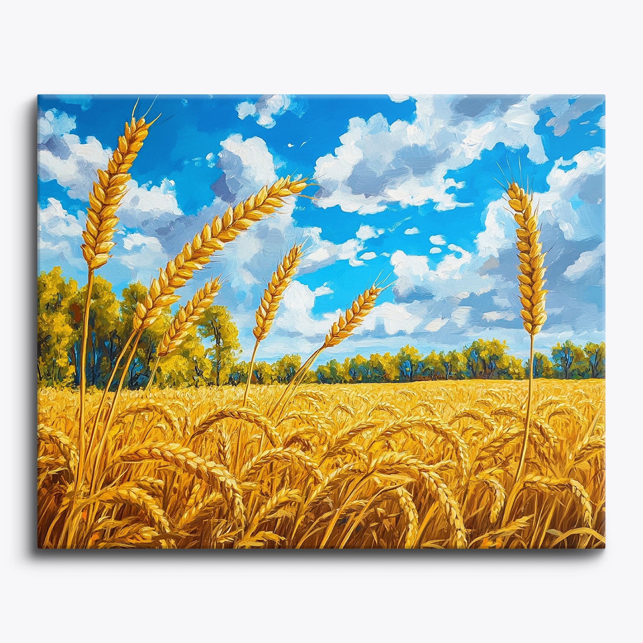Golden Fields | Paint by Numbers Kit by Craftoria