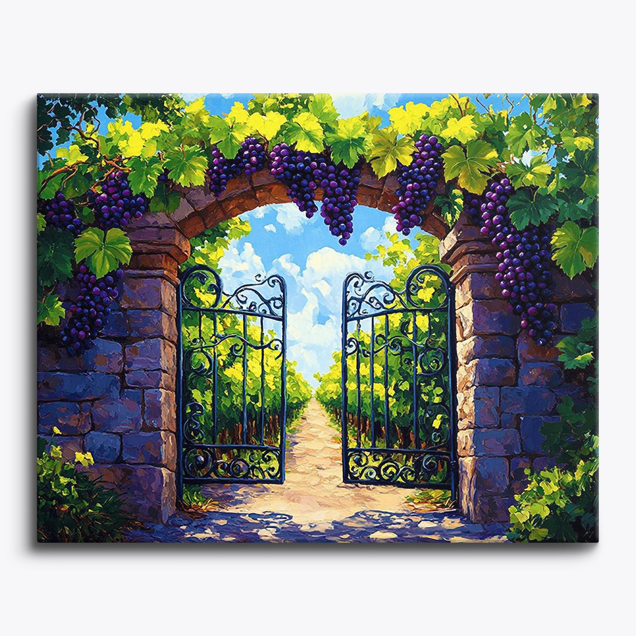 Grapevine Entrance | Paint by Numbers Kit by Craftoria