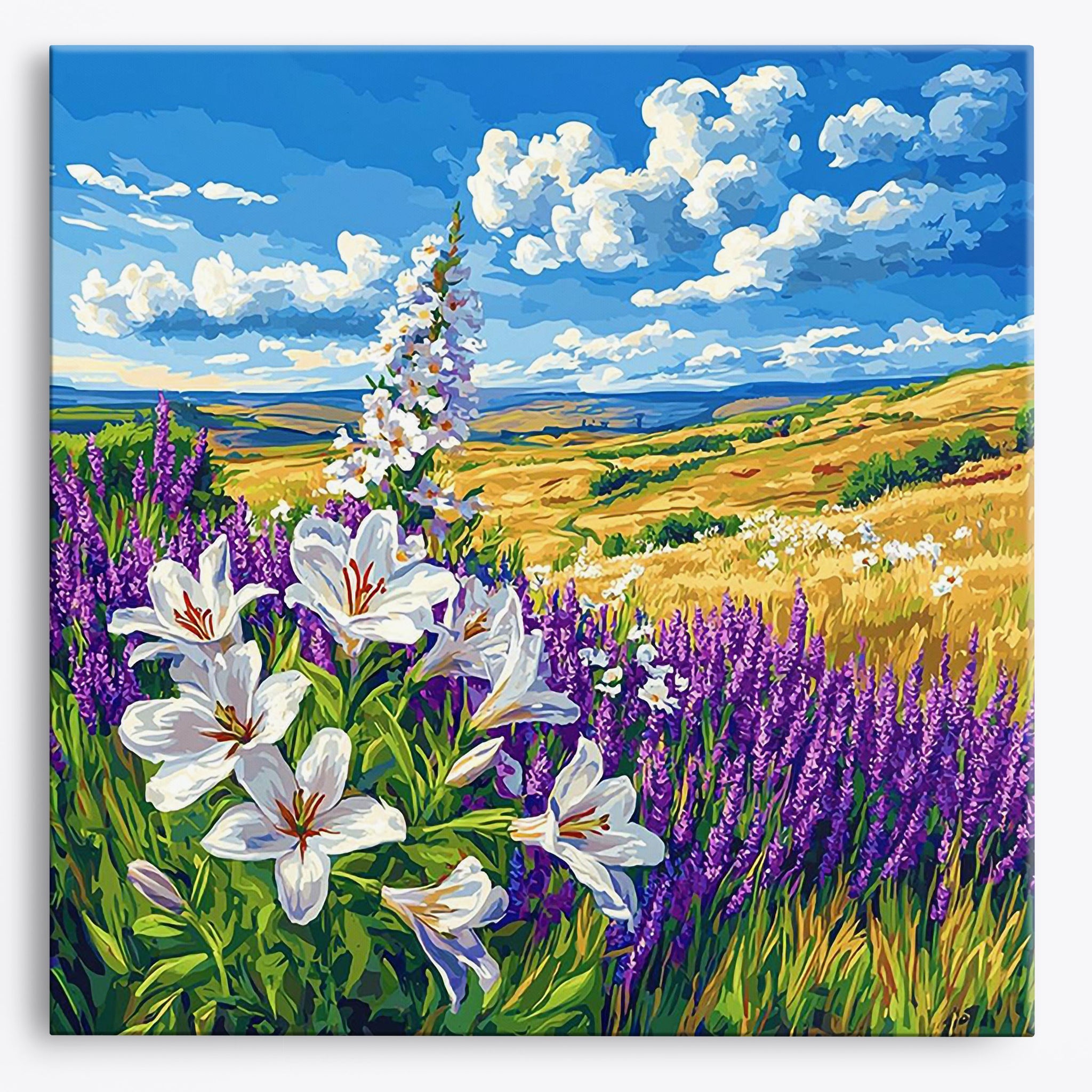 White Bliss | Paint by Numbers Kit by Craftoria